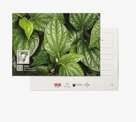 Domestic Postcards Delivery Service | Pos Malaysia